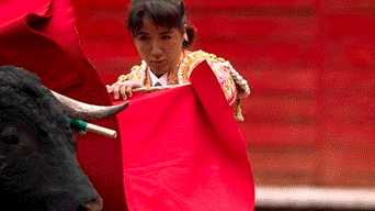 Facebook: Cirugías a las que se sometió Hilda Tenorio, torera mexicana ...