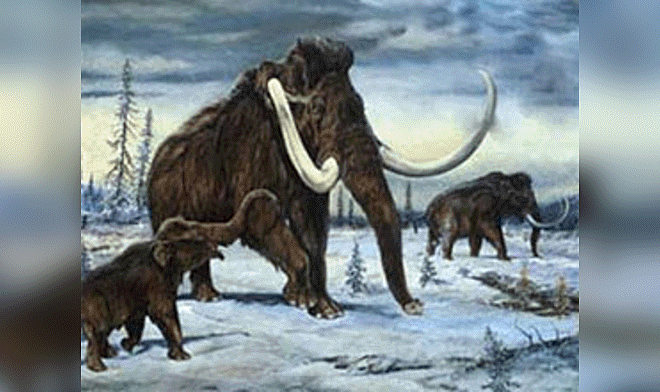 Los mamut podrían volver a la vida | LaRepublica.pe